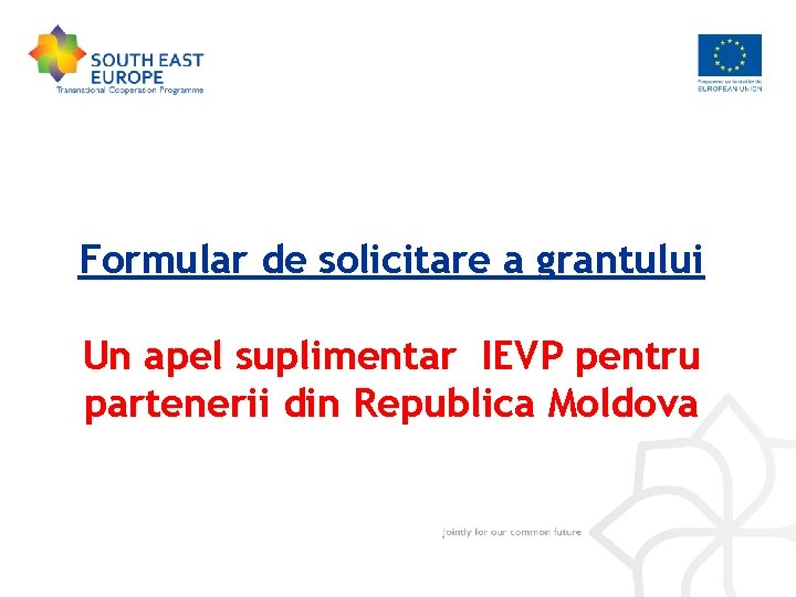 Formular de solicitare a grantului Un apel suplimentar