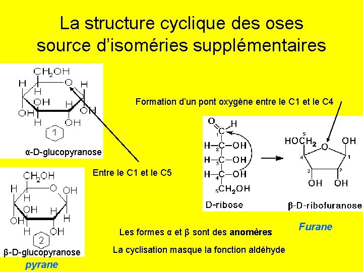 Les biomolcules principales familles de molcules du vivant