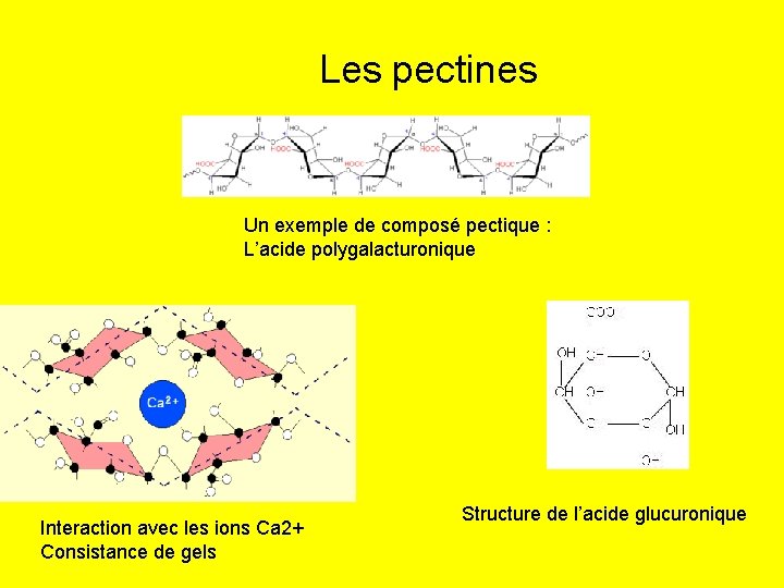 Les biomolcules principales familles de molcules du vivant