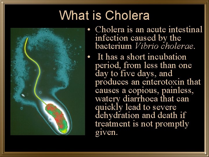 What is Cholera Cholera is an acute intestinal