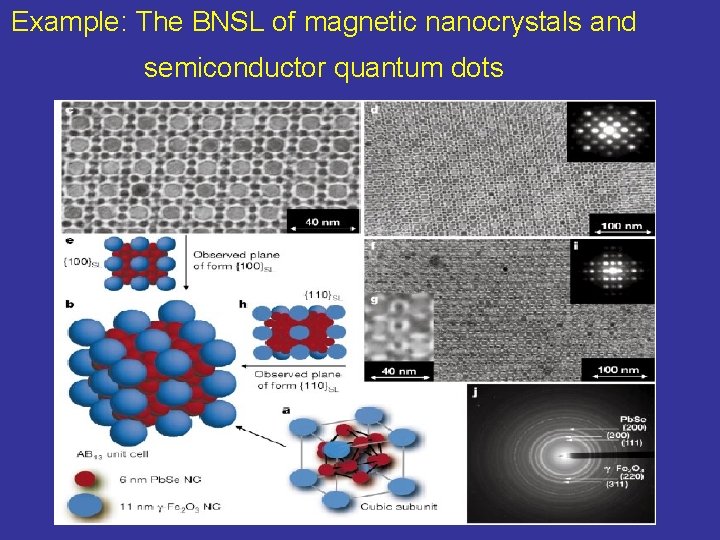 Christopher B Murray et al Nature 439 55