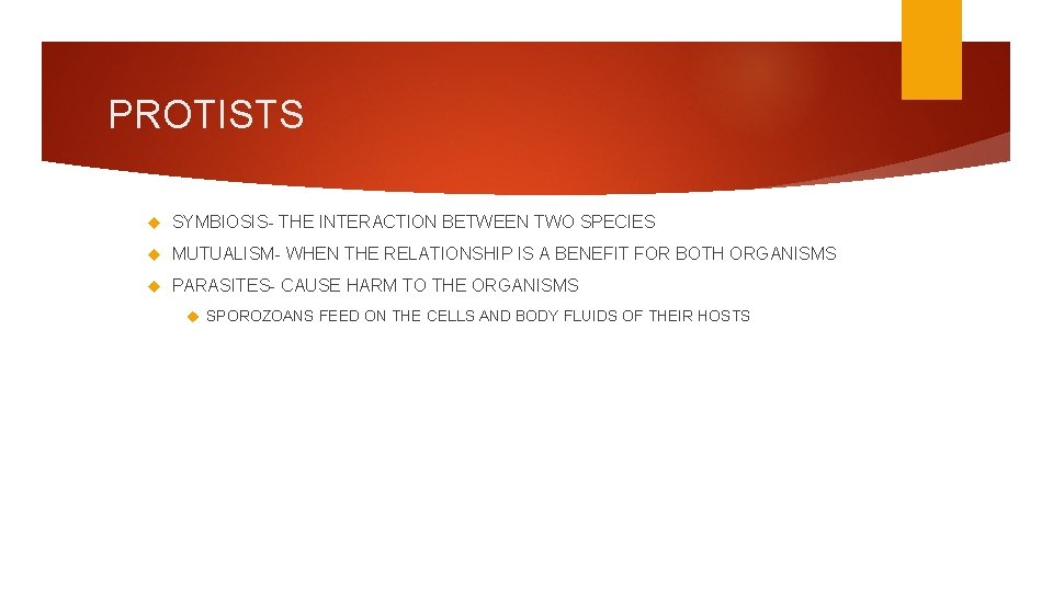 KINGDOMS GENERAL SCIENCE MRS BENDER BACTERIA ARE PROKARYOTIC