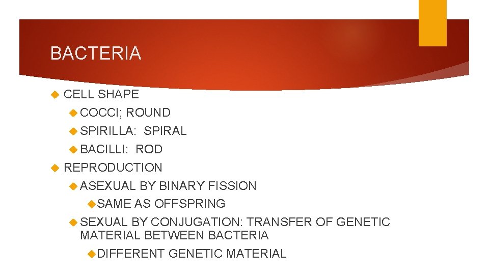 KINGDOMS GENERAL SCIENCE MRS BENDER BACTERIA ARE PROKARYOTIC