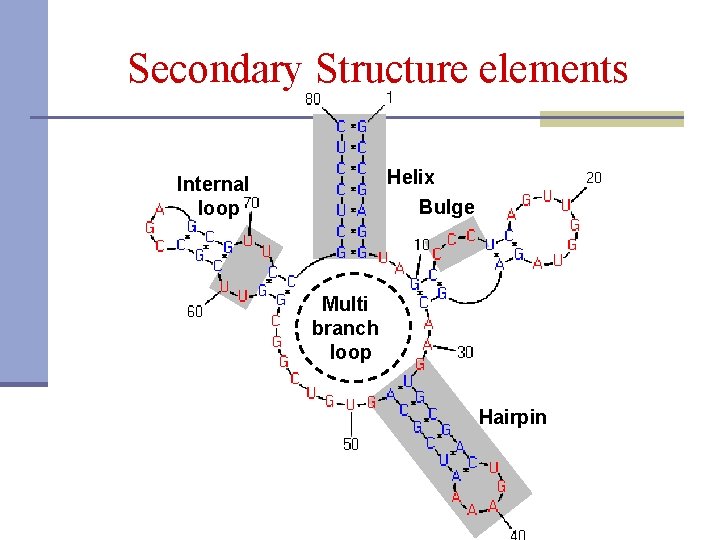 Mira AbrahamCohen and Haim J Wolfson Blavatnik School