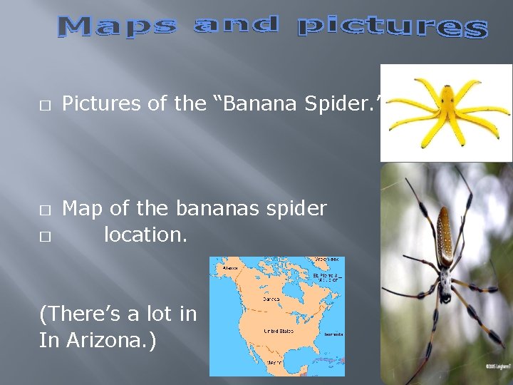 Venomous animals BY ALEXANDER PESCHARD Five different venomous