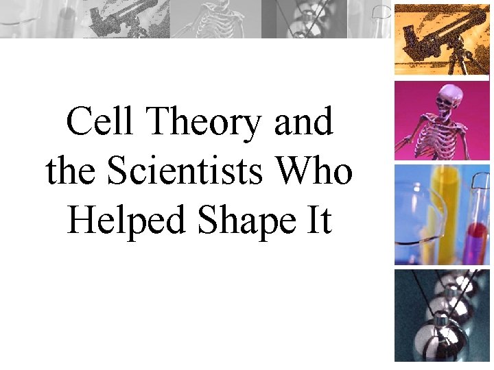 Cell Theory and the Scientists Who Helped Shape