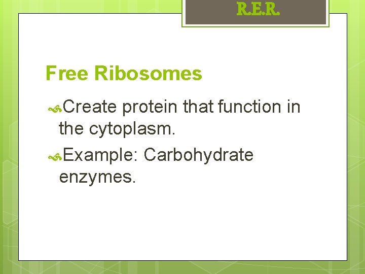 ROUGH ENDOPLASMIC RETICULUM Prepared by Jomar M Urbano