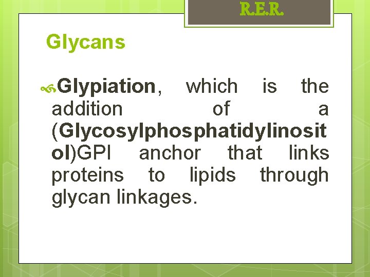 ROUGH ENDOPLASMIC RETICULUM Prepared by Jomar M Urbano