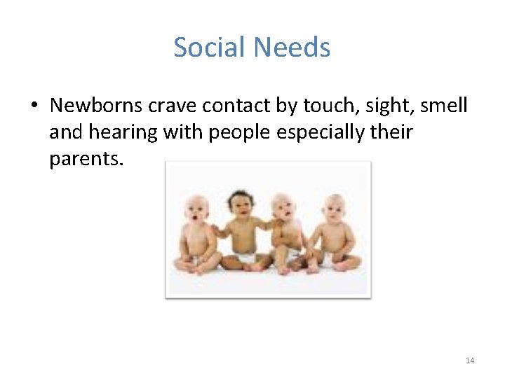 Newborns Needs 50 Lessons Over Easy 1 Newborn