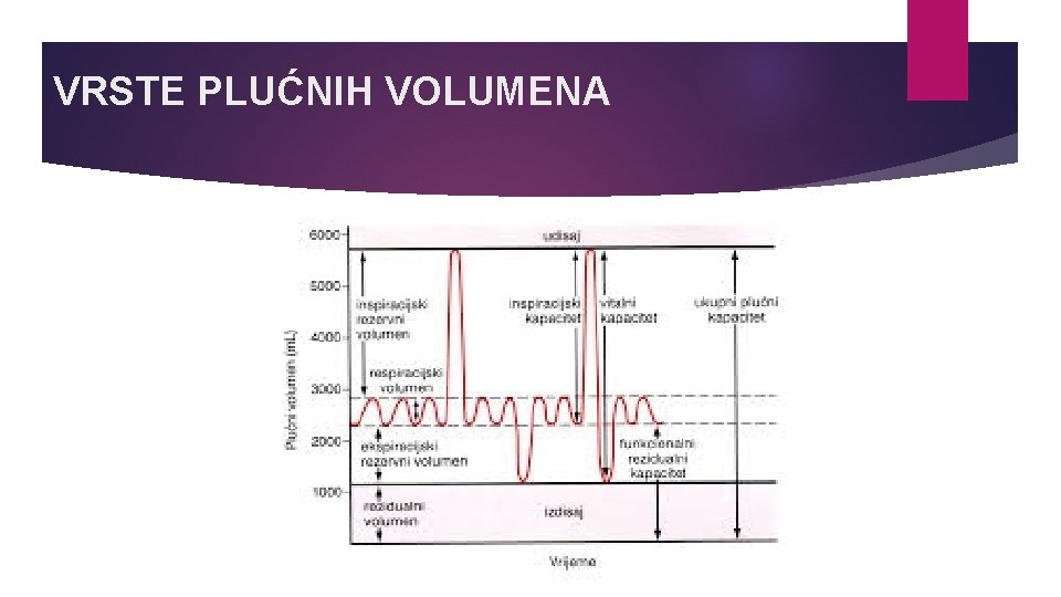 PLUNI VOLUMEN I KAPACITET NASTAVNI PREDMET BIOFIZIKA PROGRAM