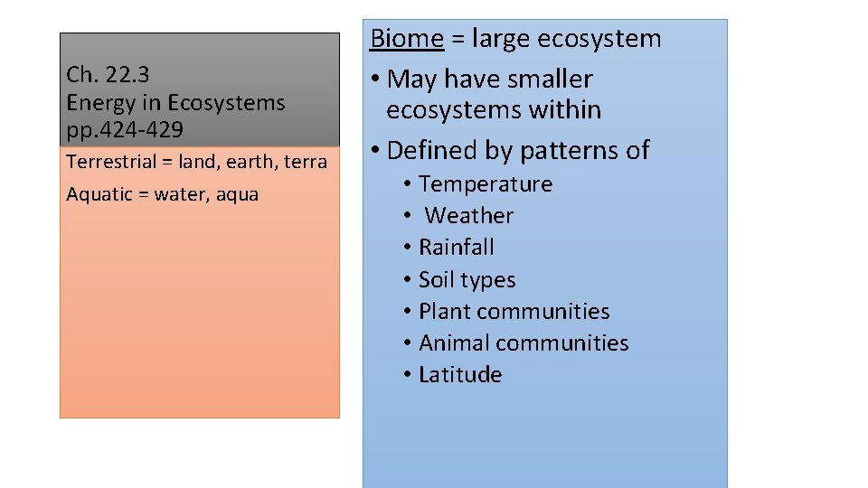 Ch 22 3 Energy in Ecosystems pp 424