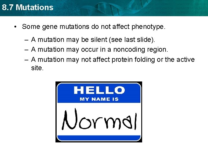 8 7 Mutations KEY CONCEPT Mutations are changes