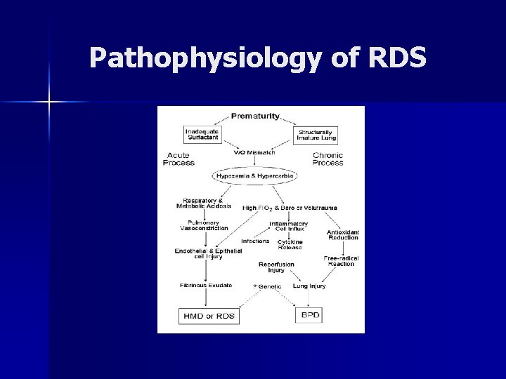 Respiratory Distress Syndrome or Hyaline Membrane Disease Dr