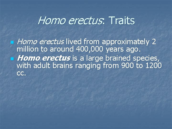 Later Human Evolution Later Homo Homo erectus Archaic