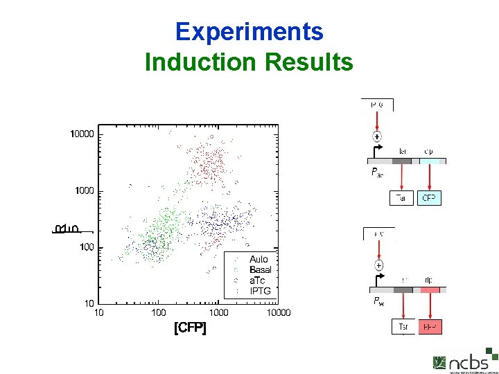 i GEM 2006 PRESENTATION The NCBS Team Adil