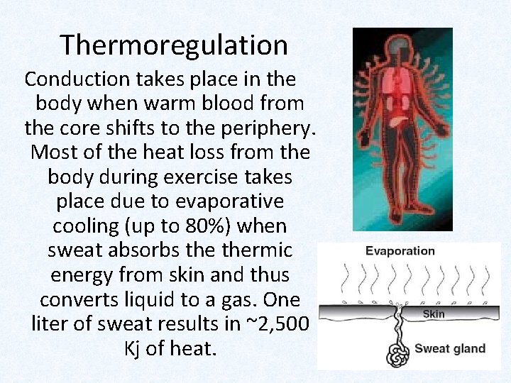 Environmental Factors and Performance Relationship between cellular ...