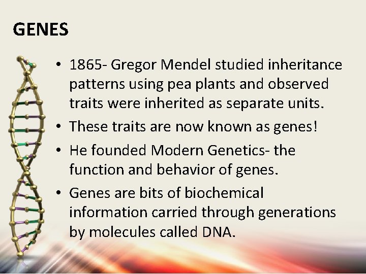 GENETICS GENES 1865 Gregor Mendel studied inheritance patterns