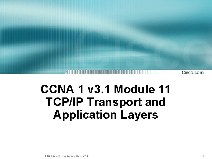 CCNA 1 v 3 1 Module 11 TCPIP