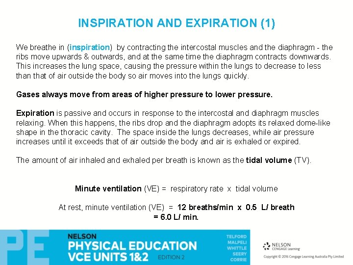 CHAPTER 6 THE RESPIRATORY SYSTEM KEY KNOWLEDGE v
