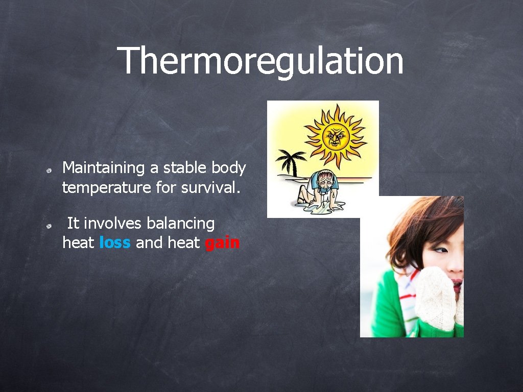 Thermoregulation Thermoregulation Maintaining a stable body temperature for