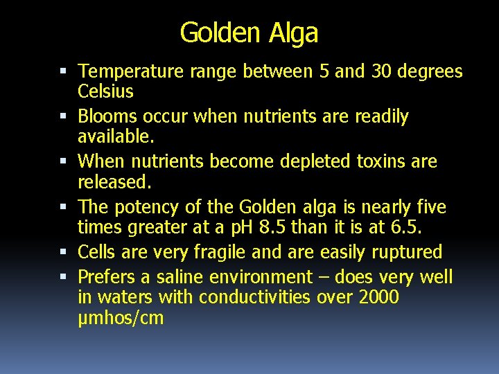 Golden Alga Prymnesium parvum Salt River Lakes Marc