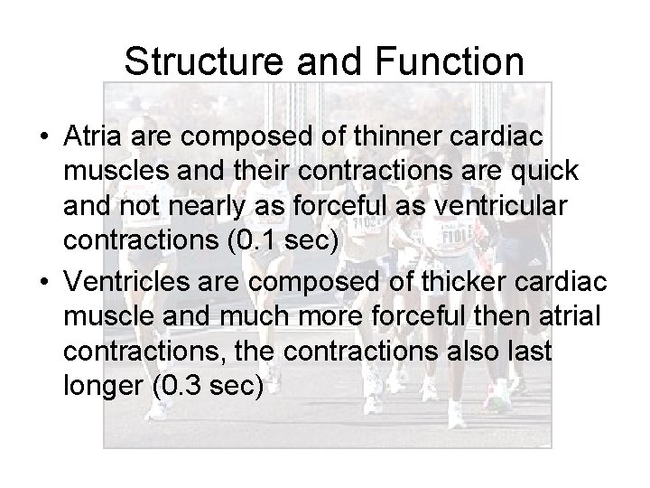 Circulatory and Respiratory Systems What about invertebrates Simple
