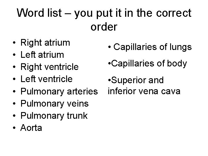 Circulatory and Respiratory Systems What about invertebrates Simple