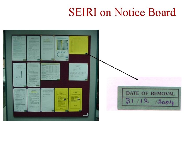 From Basics to Benchmarks Intimates 5 S Journey