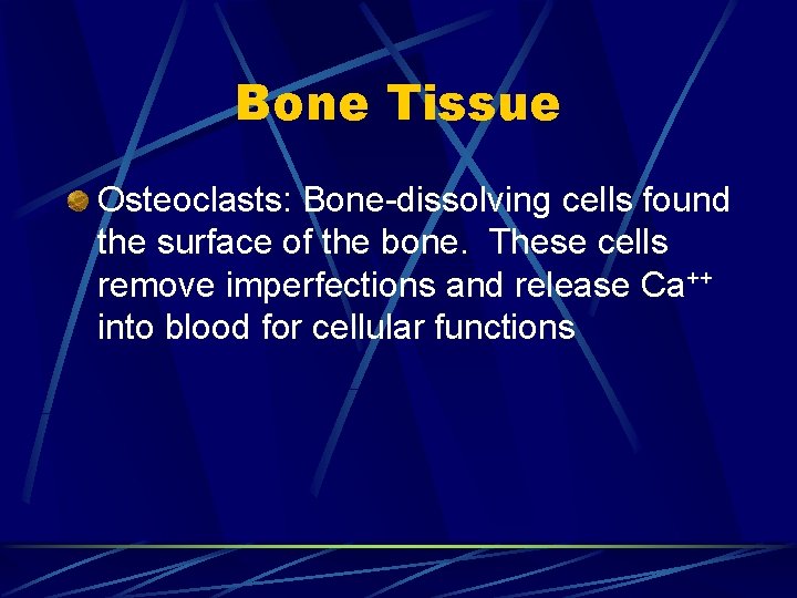 Bone Tissue Osteogenic cells They differentiate into osteoblasts