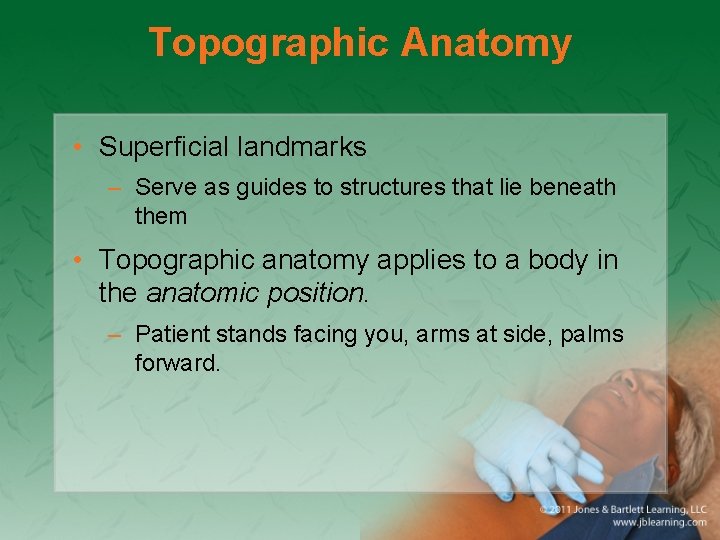 Chapter 5 The Human Body National EMS Education