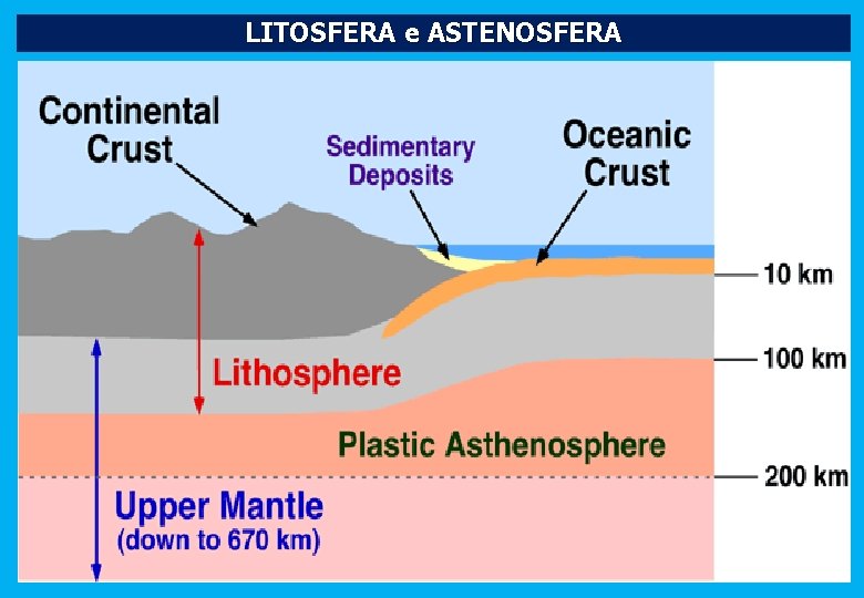 SCIENZE INTEGRATE LEZIONE N 8 Prof Fabrizio Carmignani