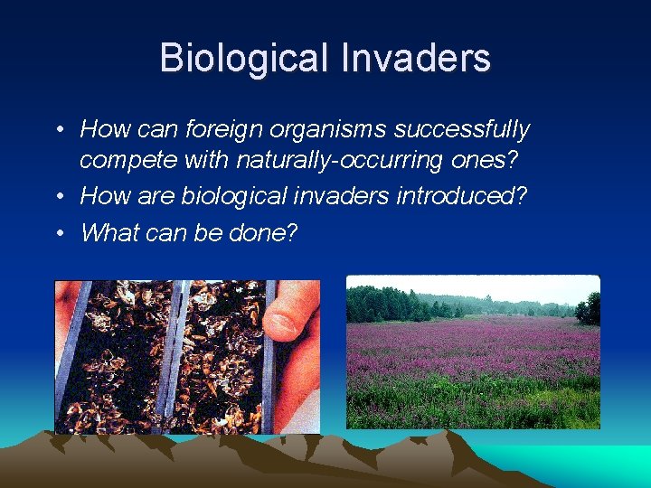 Biological Invaders How can foreign organisms successfully compete