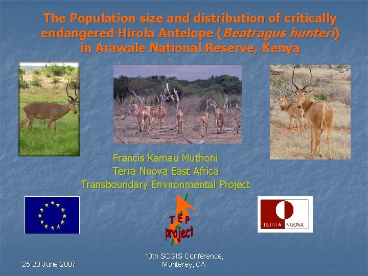 The Population size and distribution of critically endangered