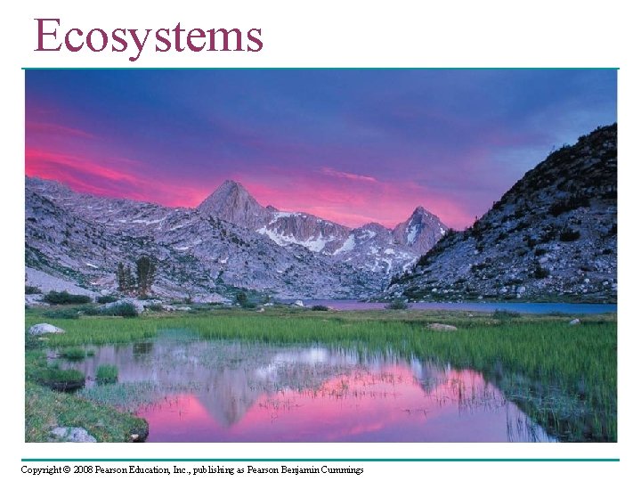 Ecosystems Chapter 55 Copyright 2008 Pearson Education Inc