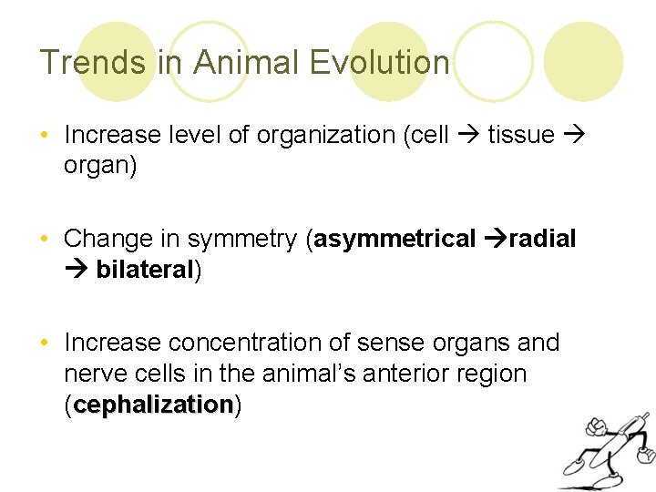 Animals Invertebrates Kingdom Animalia l Around 9 or