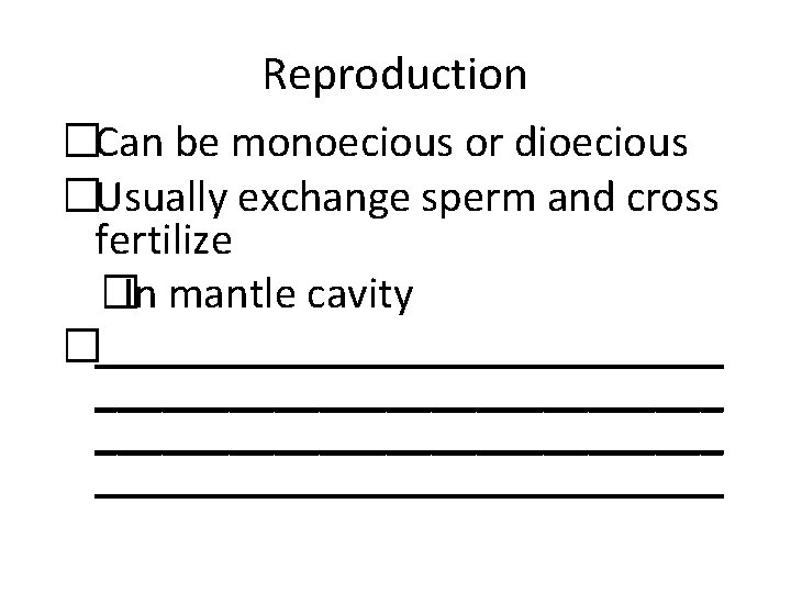 Phylum Mollusca Lecture 10 General Characteristics Bilaterally symmetry