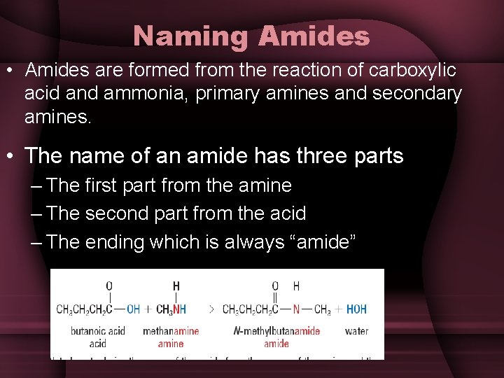 Amines and Amides Section 1 7 Amines Amine
