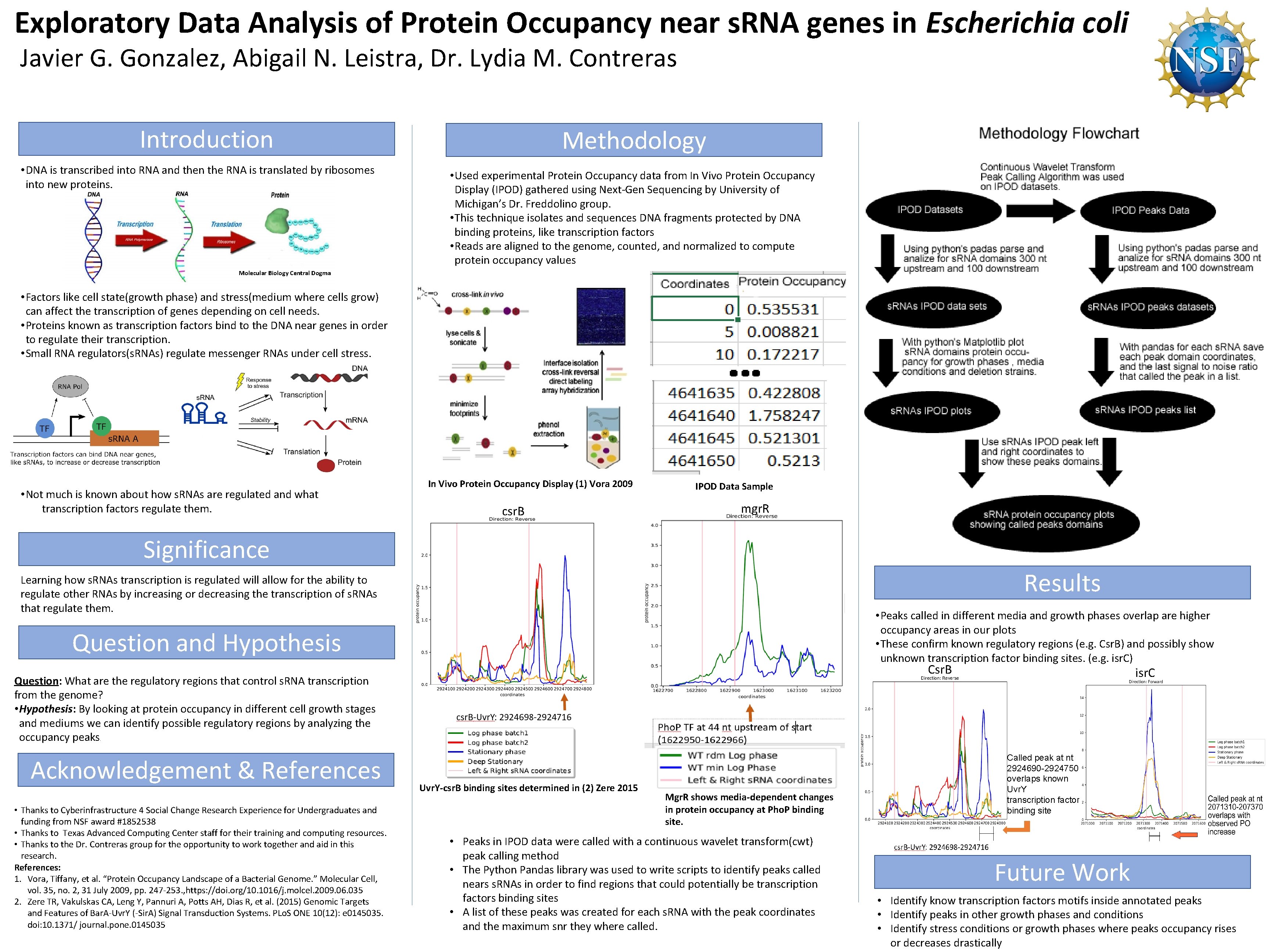 Exploratory Data Analysis of Protein Occupancy near s