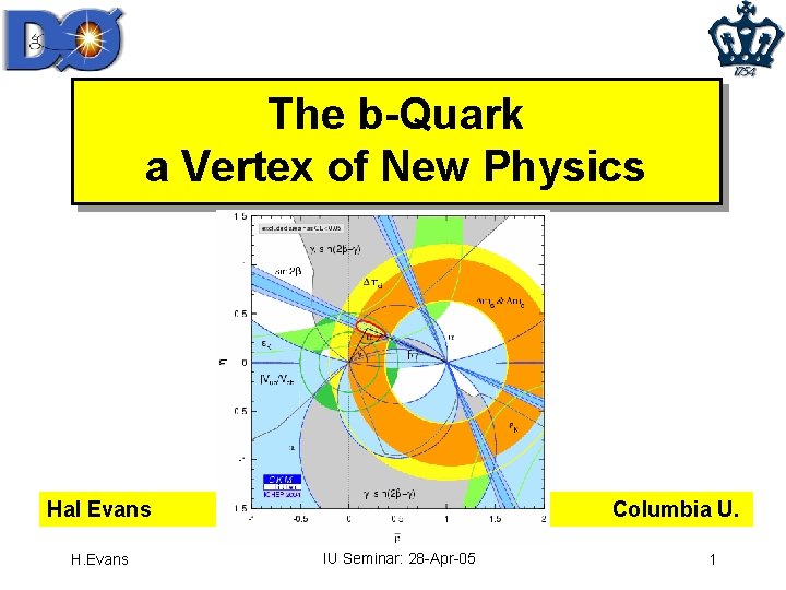The bQuark a Vertex of New Physics Hal