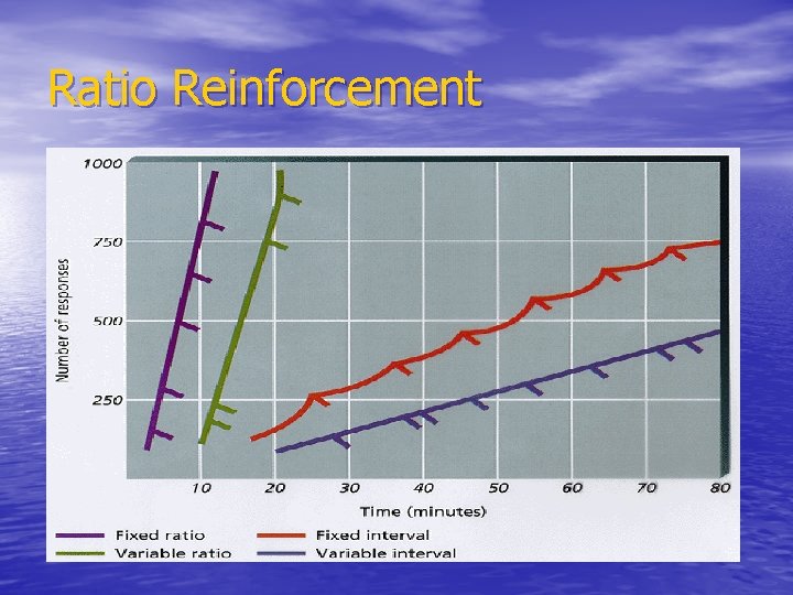 REINFORCEMENT SKINNERS THEORY By Noor Alfu Laila NIM