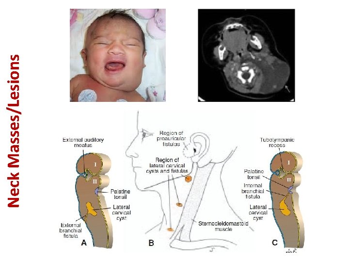 Kingdom of Bahrain Arabian Gulf University College of