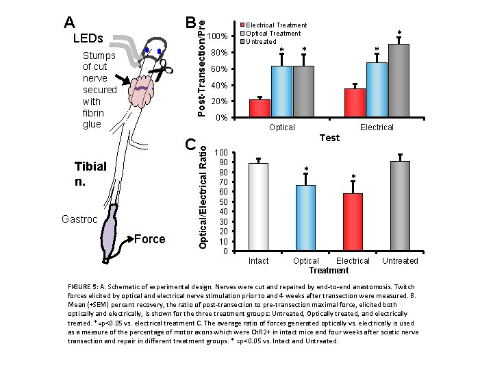 A DR VR 100 m B C FIGURE