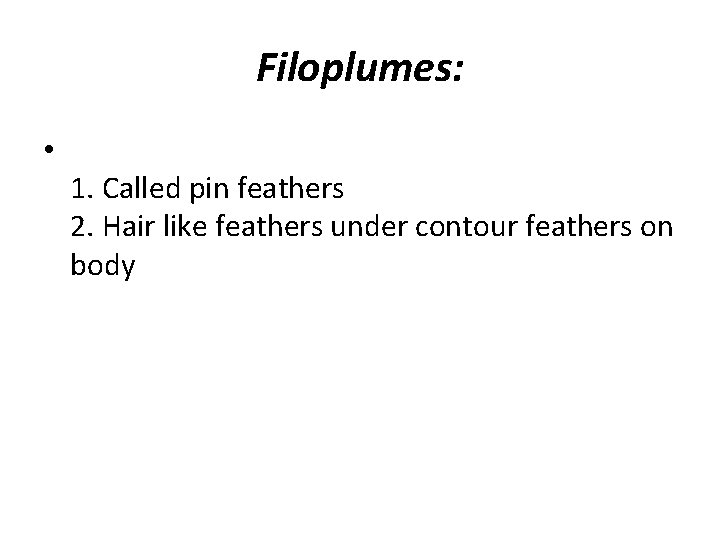 Birds Class Aves Characteristics Well adapted to marine