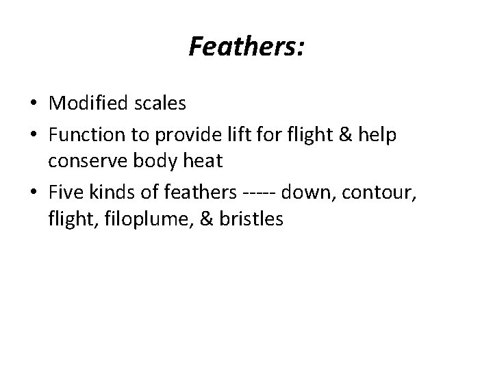 Birds Class Aves Characteristics Well adapted to marine