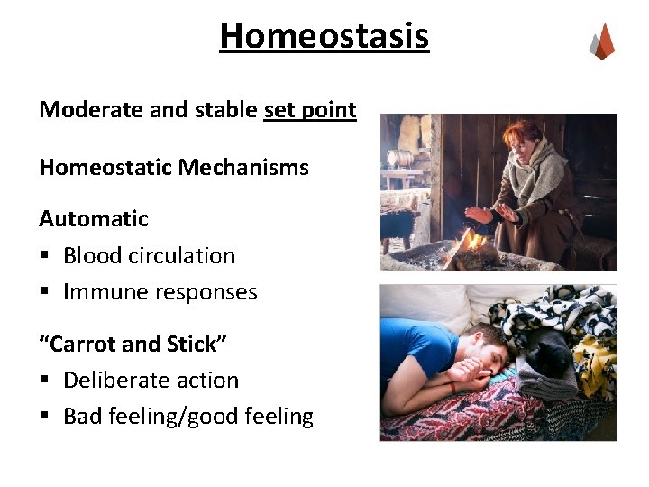 Drive States Instructor Name Class Section Number Overview