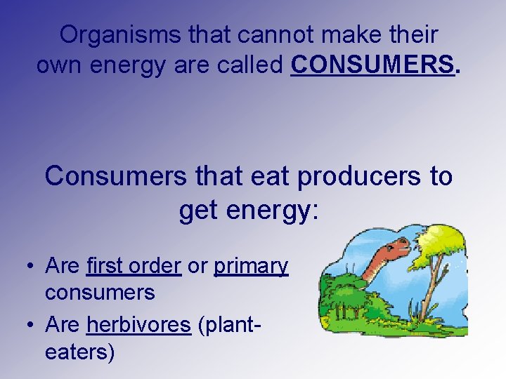 Energy Flow Through an Ecosystem Food Chains Food