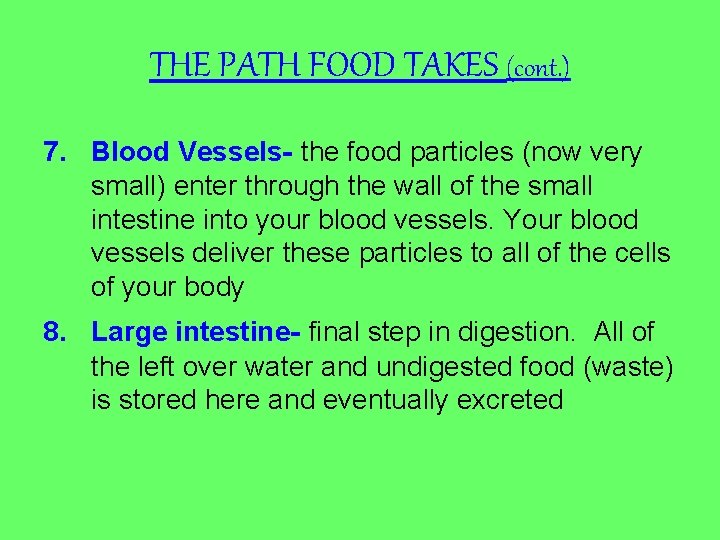 THE DIGESTIVE SYSTEM JOB Changes food into substances