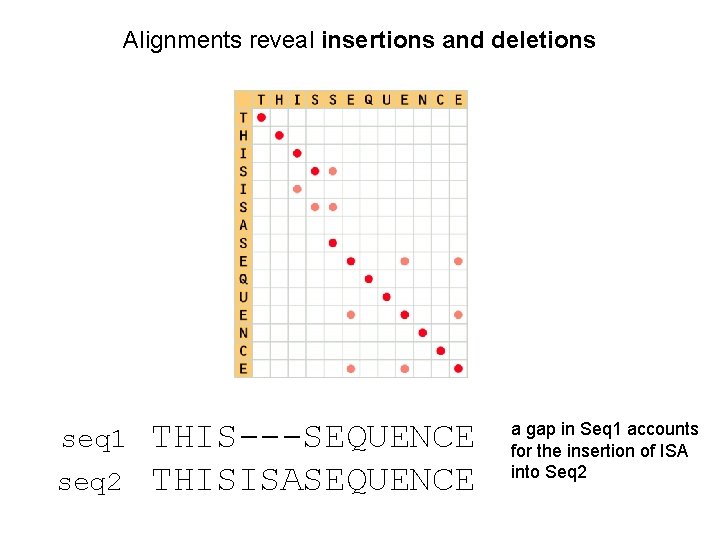 Sequence Alignment Goal line up two or more