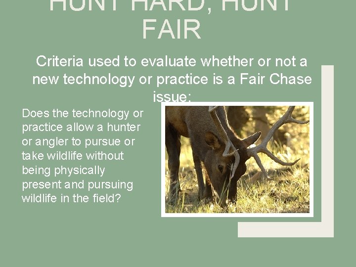 ARTICLE 3 Taking and Handling Of Wildlife HUNT