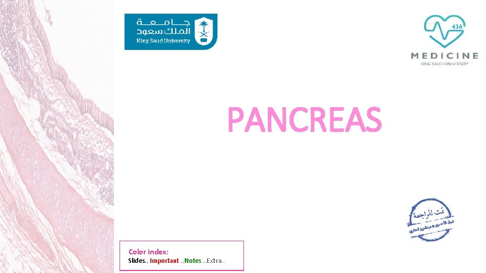 PANCREAS Color index Slides Important Notes Extra Objectives
